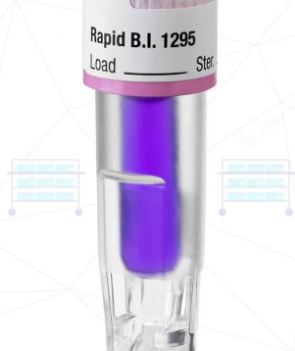 Global Solutions- Securing the success of your business with Our Services